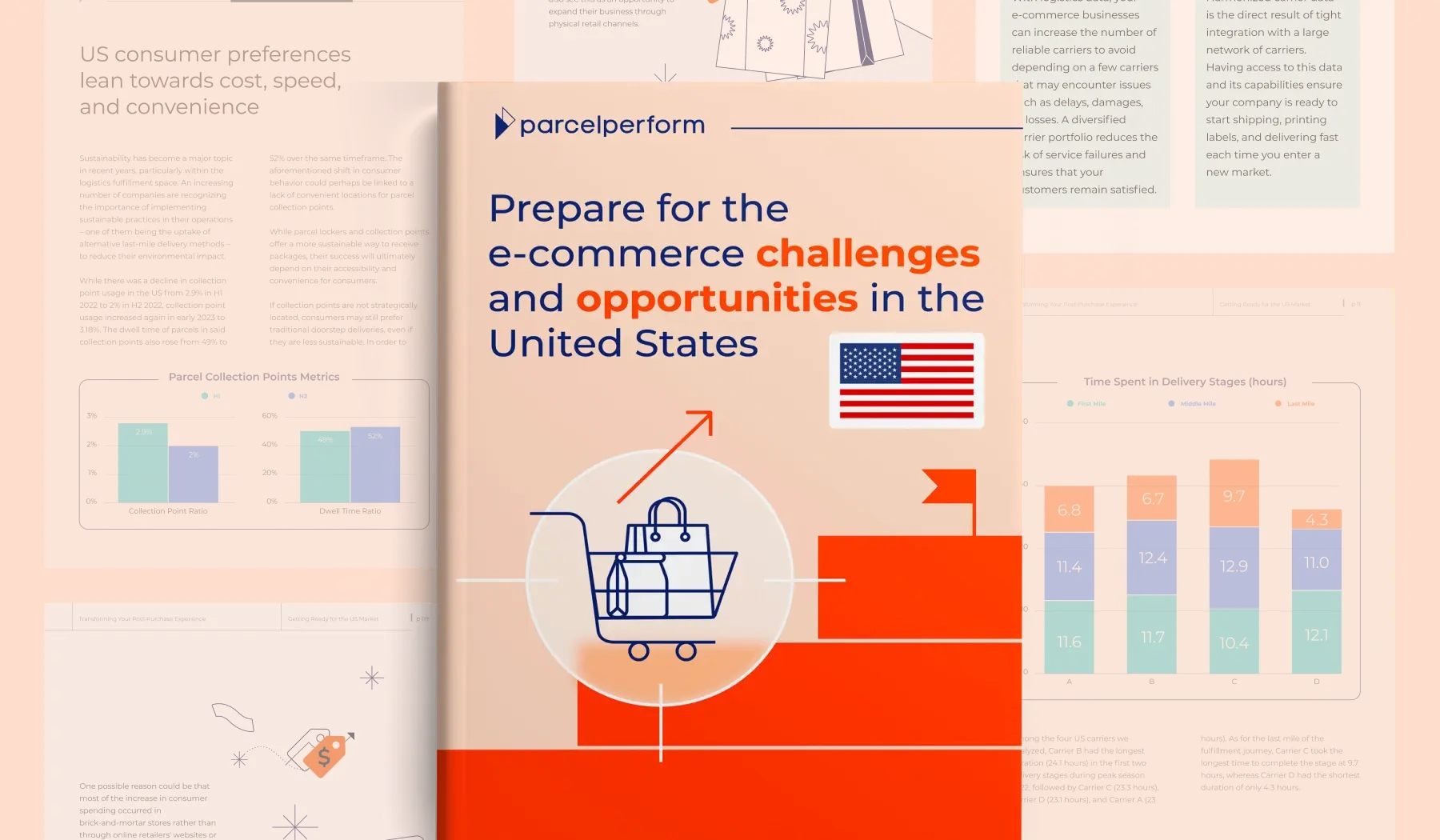 Report | Prepare for e-commerce challenges and opportunities in the US